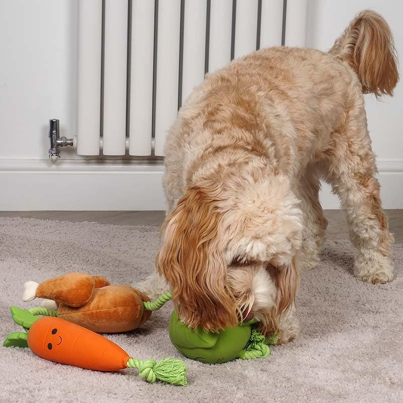 Buy A Zoon Tugga Chicken Dinner